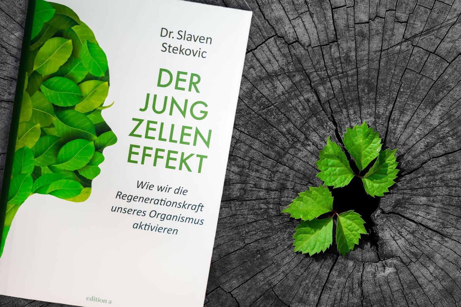 Preppo fragt nach bei Dr. Slaven Stekovic - Preppo Wohlbefinden ...